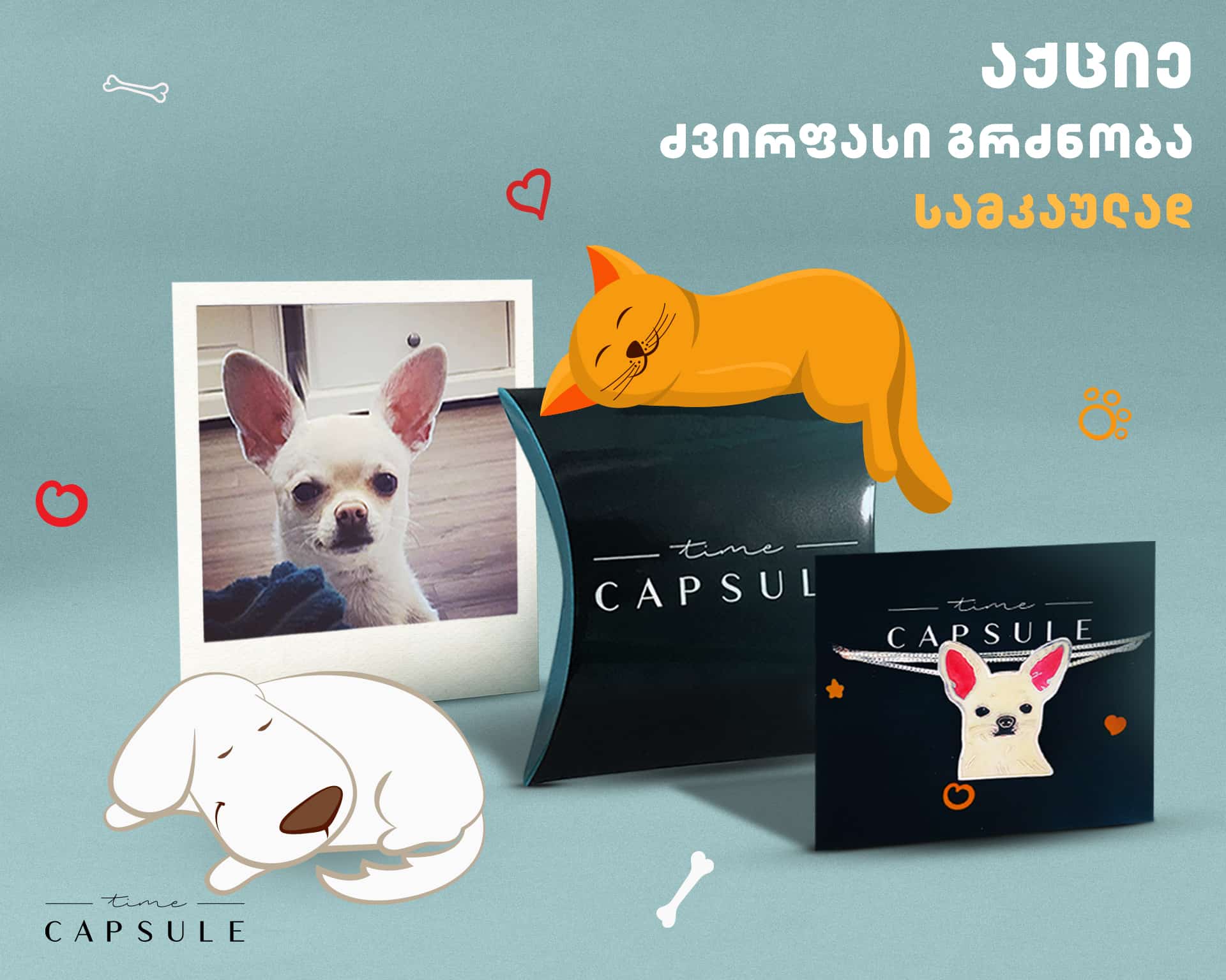 კაფსულა • Capsule